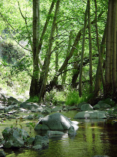 Trails of the Angeles: Fish Cyn - 80 Foot Waterfall - in Azusa