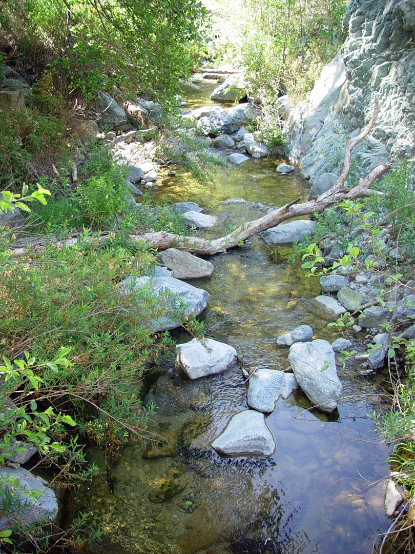 Trails of the Angeles: Fish Cyn - 80 Foot Waterfall - in Azusa