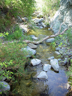 Trails of the Angeles: Fish Cyn - 80 Foot Waterfall - in Azusa