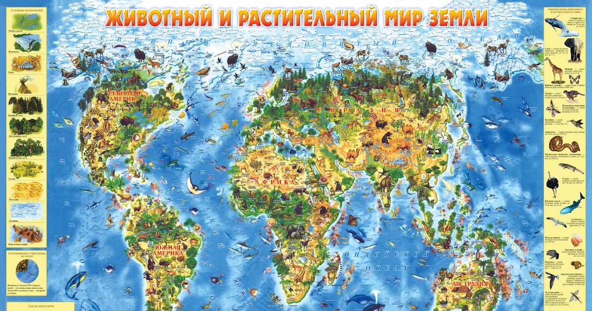 Rostaman: World Map Flora and Fauna