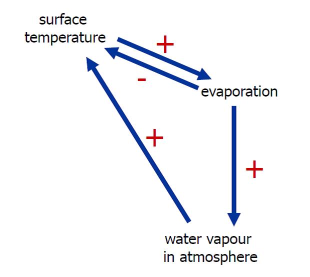 Climate Change: Hydrological Cycle (Feedback)