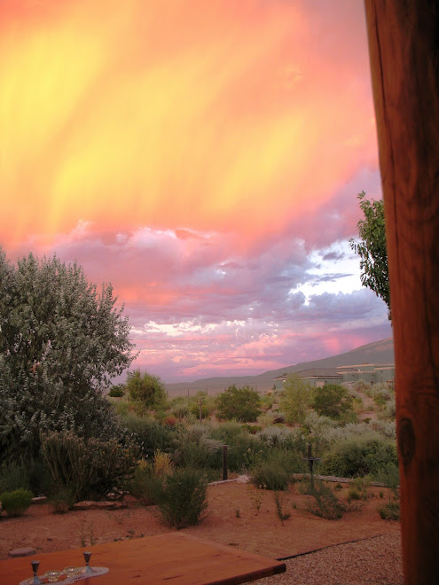 Susan's Wildish Whims: Spencer Hot Springs - Jemez, NM