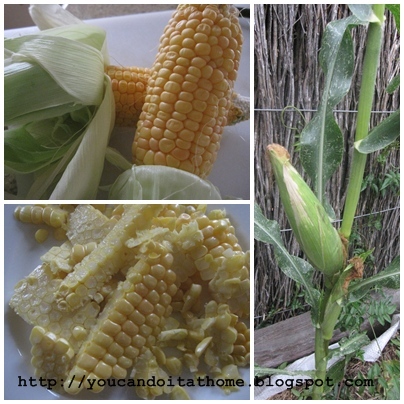 You can do it... at home!: Coconut Sago Pudding with Fresh Corn (สาคู ...
