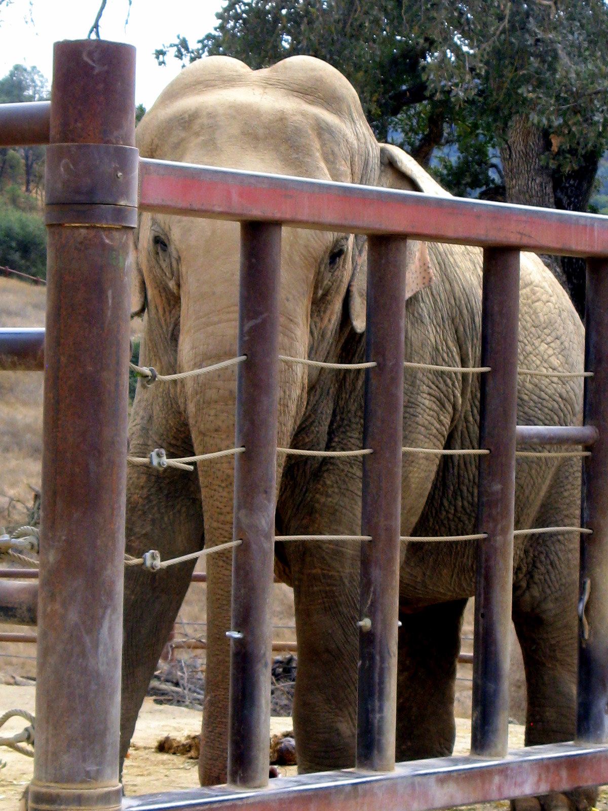 Mary's Ramblin's: PERFORMING ANIMAL WELFARE SANCTUARY