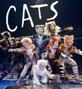 Galeria & Photomaton: Cats Musical - Memory