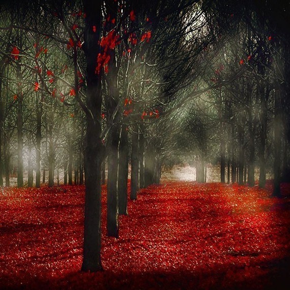 The making of ...: Mystical Nature