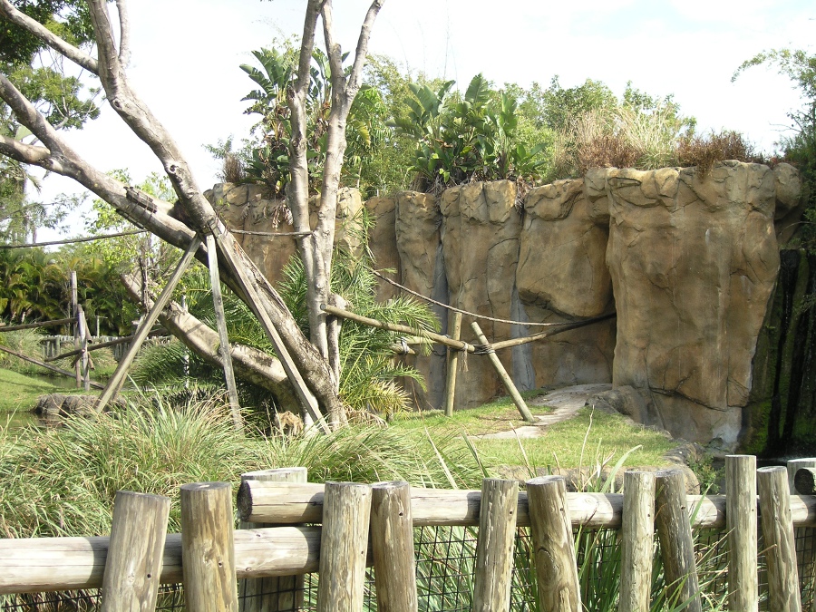 Palm Beach Zoo Review