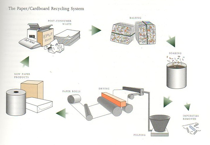 Final Major Project: Recycling Systems and a 'Green Checklist'