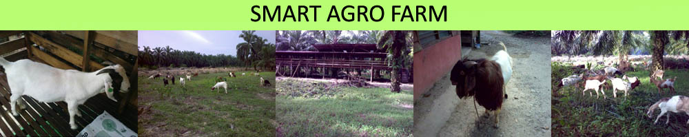 Smart Agro Farm