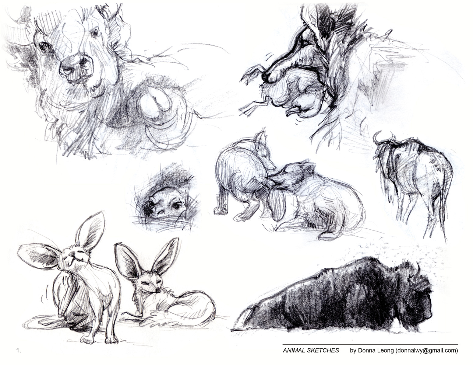 Printable Sketches Of Animals