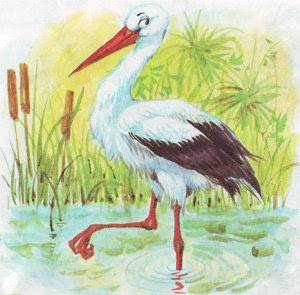 Разкажи ми приказка: Щъркел шарен