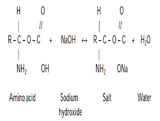 ONLINE DENTISTRY: MECHANISM OF SODIUM HYPOCHLORITE