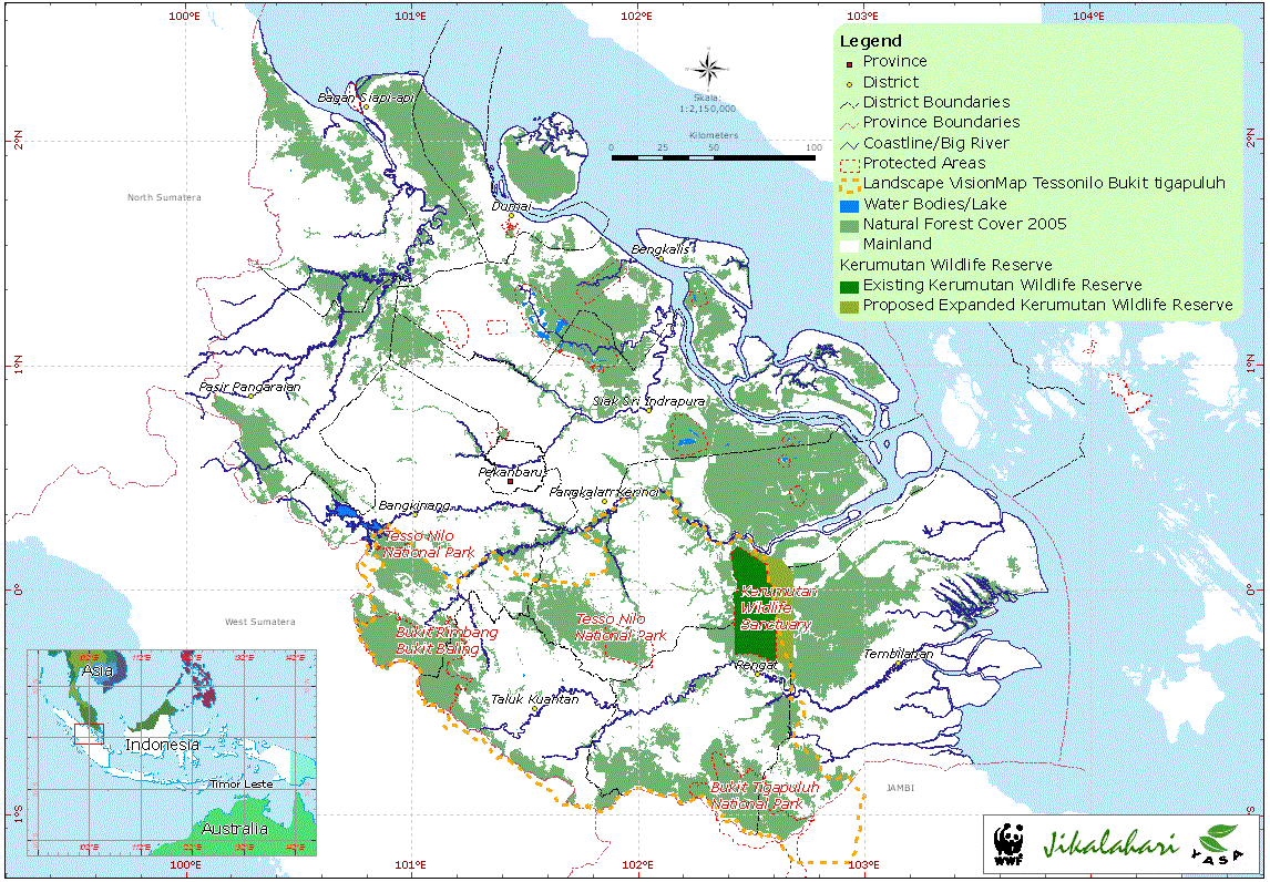 Tropical rain forest in Riau- an attractive tourist destination ...