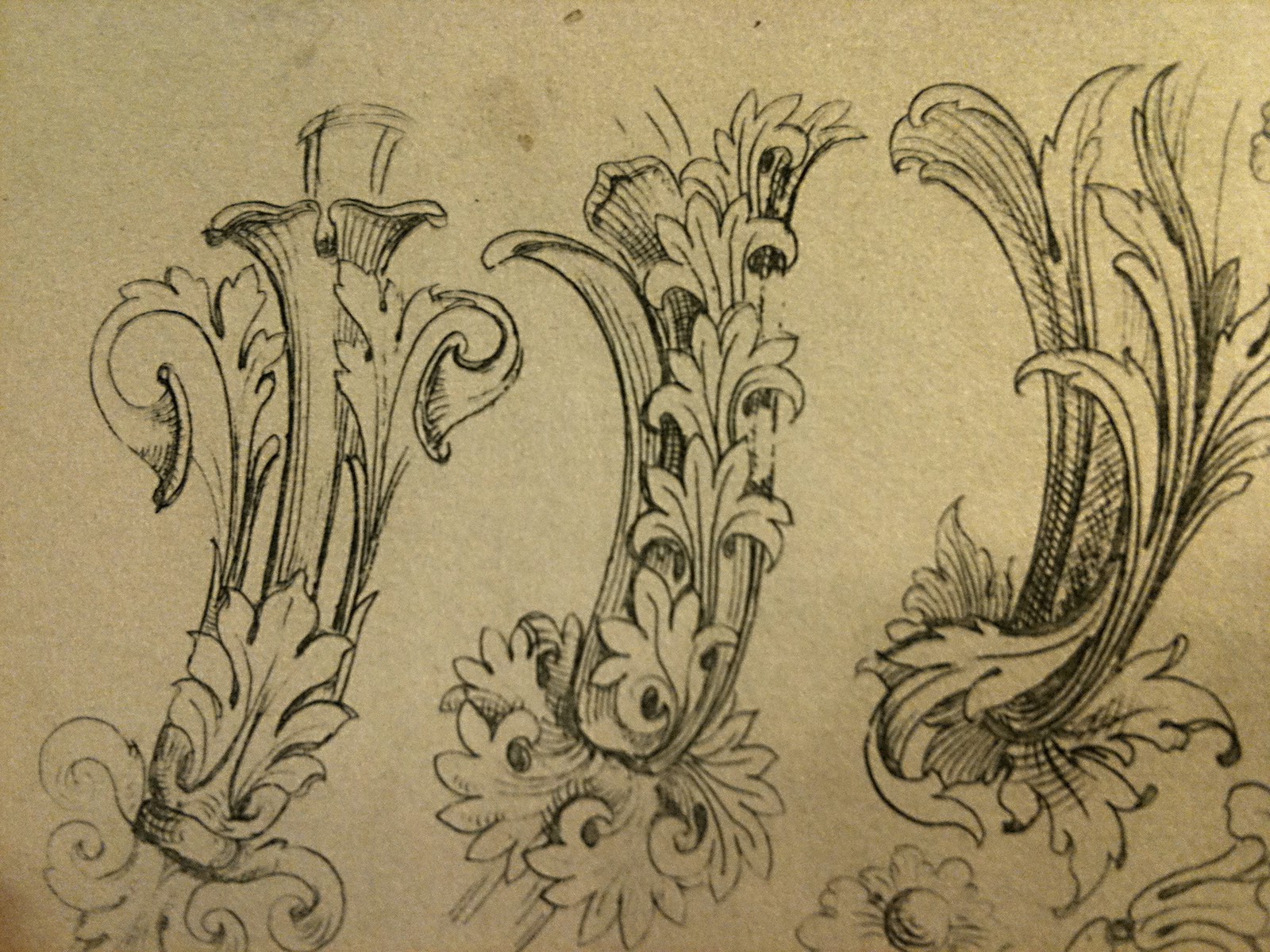 Acanthus leaf ornament sketch | Acanthus leaf design | Pinterest | To ...