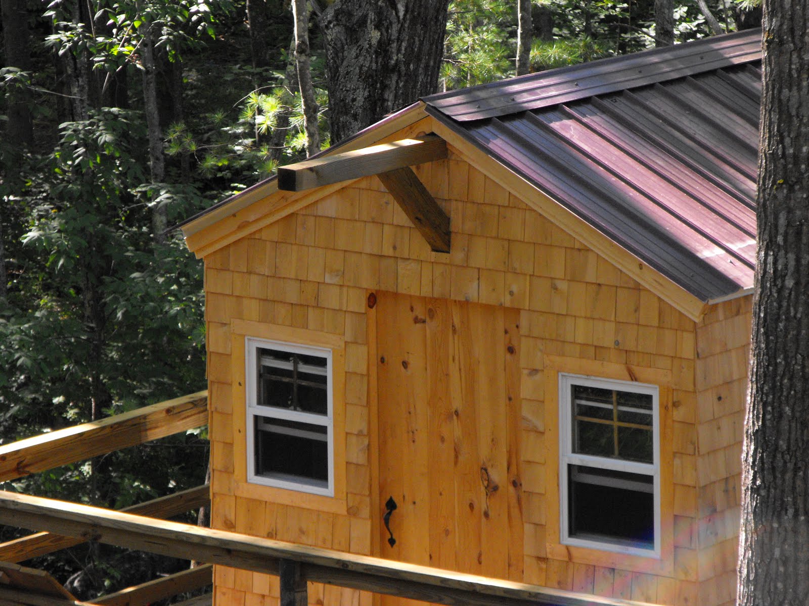 The Clubhouse in the Trees