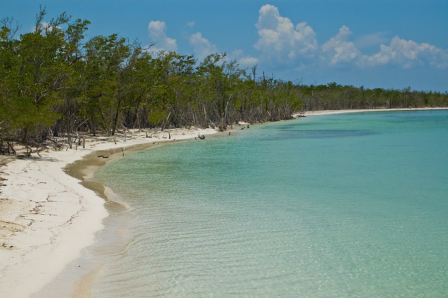 ISO 101 Photo: Cayo Blanco II
