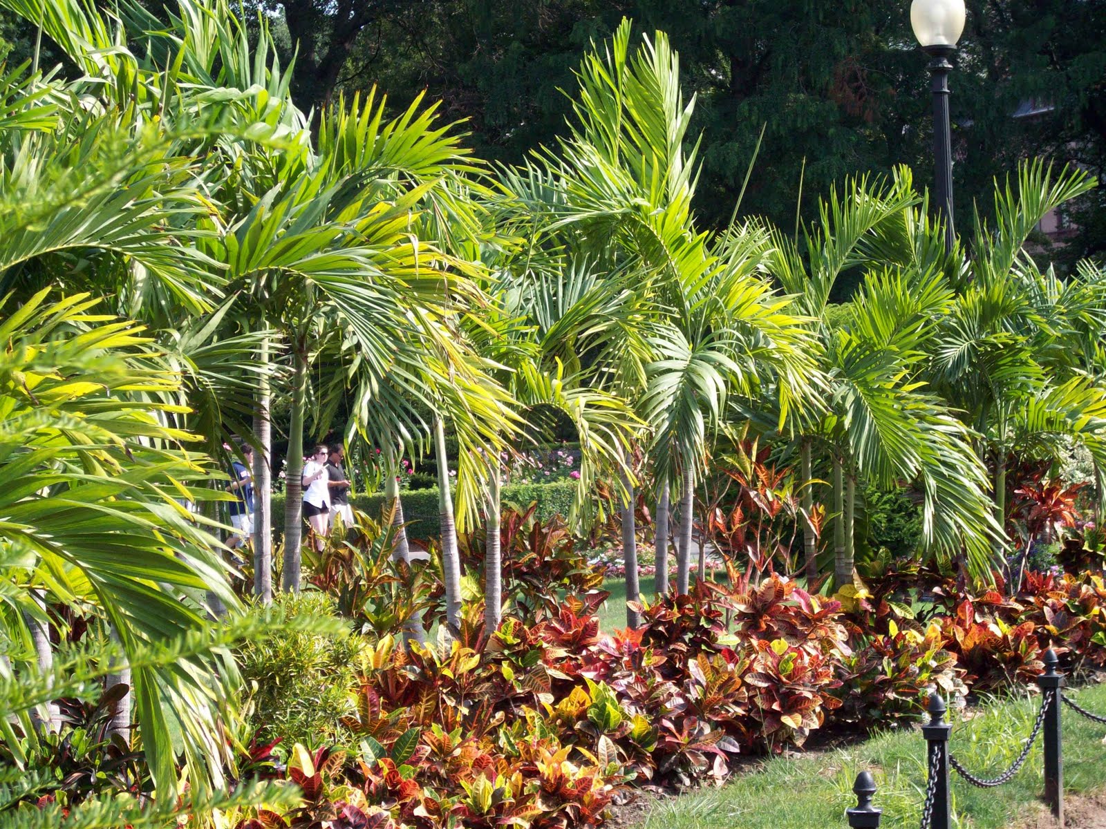 The Small Boston Kitchen: A Whole 'Lotta Food This Weekend!