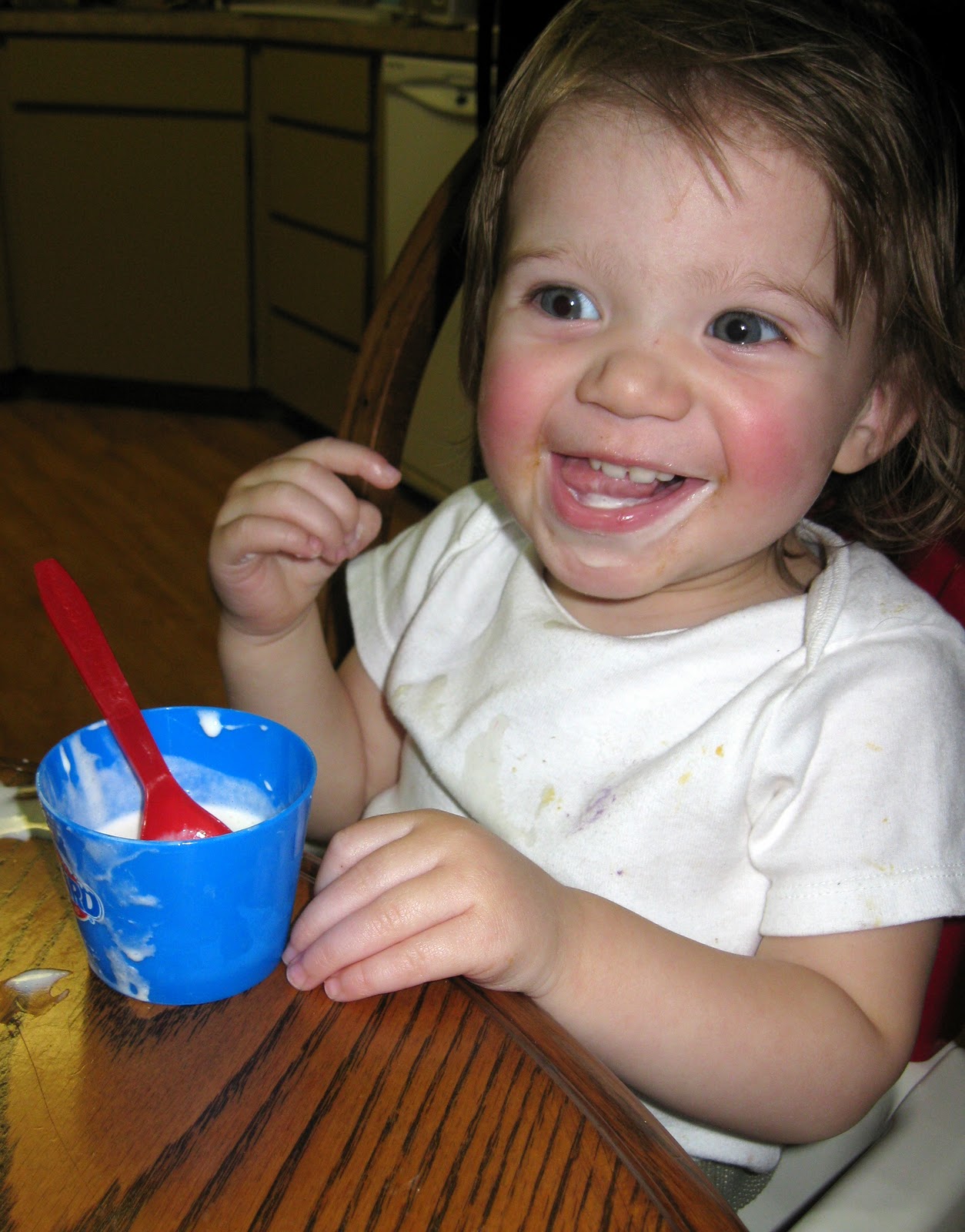 Adventures in all things food: Review - Dairy Queen Blizzard Maker from ...