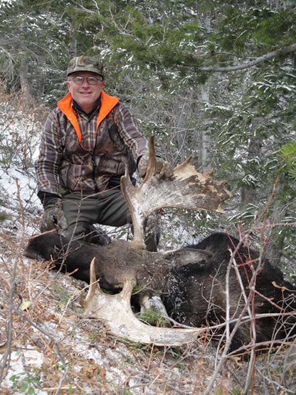 Lambson Wildlife Art