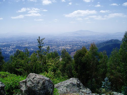 Twenty More Toes: Entoto Mountain