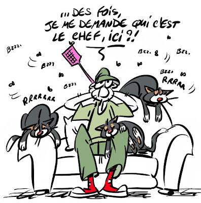 TRAIT PORTRAIT: OUI, CHEF!