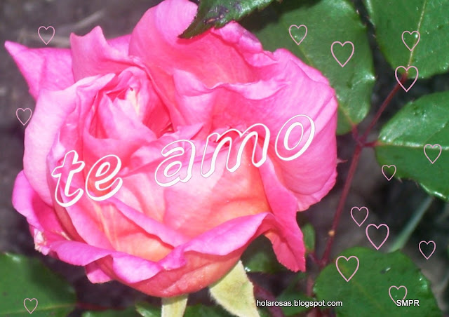 Imagenes De Amor: June 2010