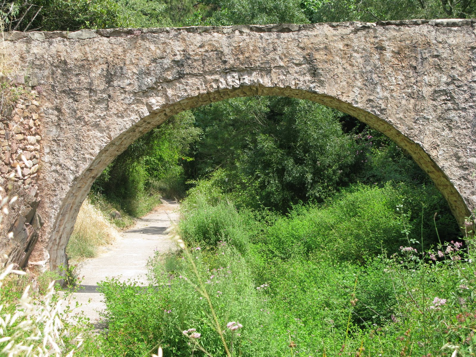 Anda con Tiocanya SenderismoAnda con Tiocanya: Aín - Peña Pastor ...