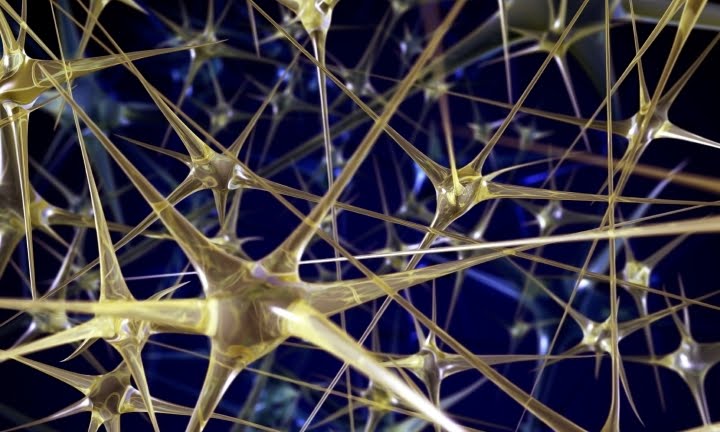 Chile-Hoy: USACH resalta efectividad del Modelo Neuronal ante ...