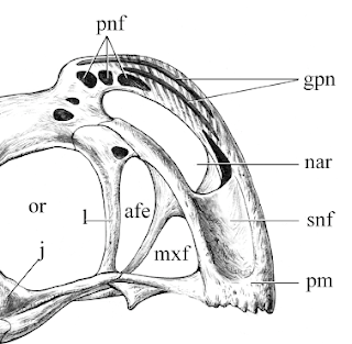 DinoGoss: Banji the Hunted