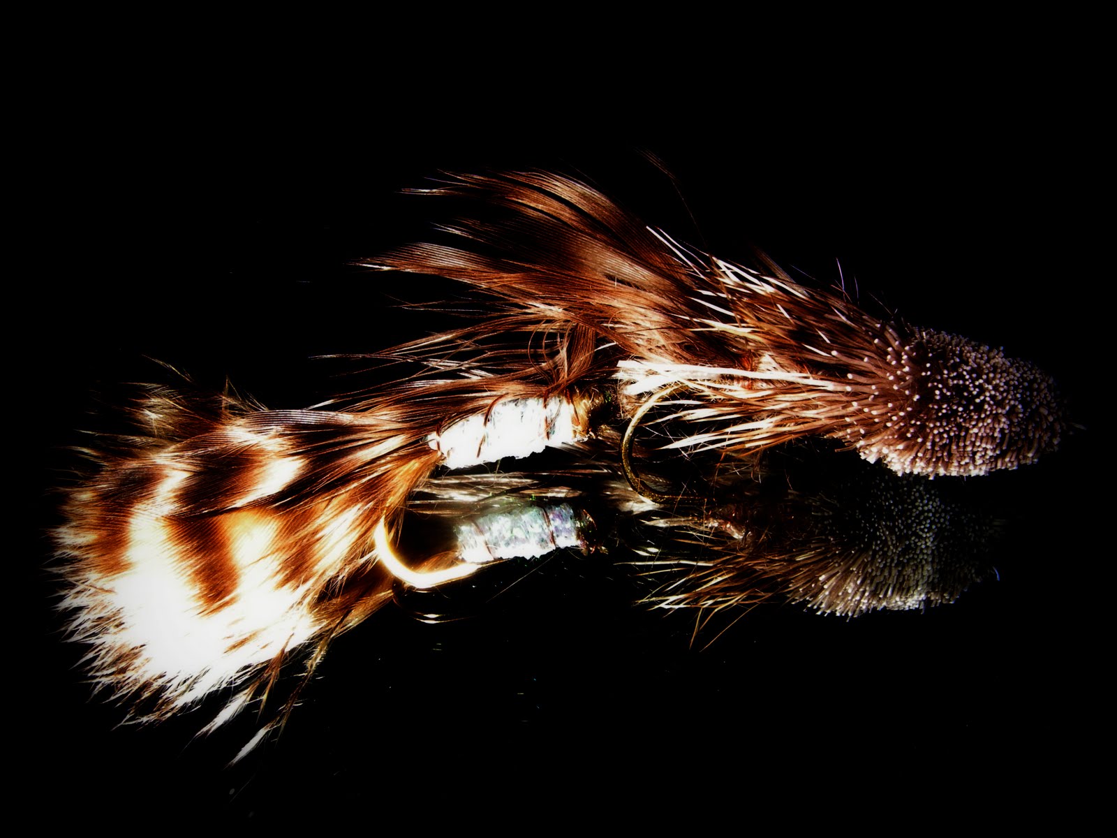 EpicFly: Arkansas River Brown Trout Bugs. Most are variations on Kelly ...