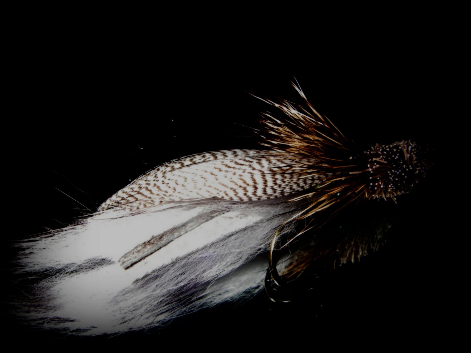 EpicFly Pictures: Articulated, lots of movement and plenty of deer hair ...