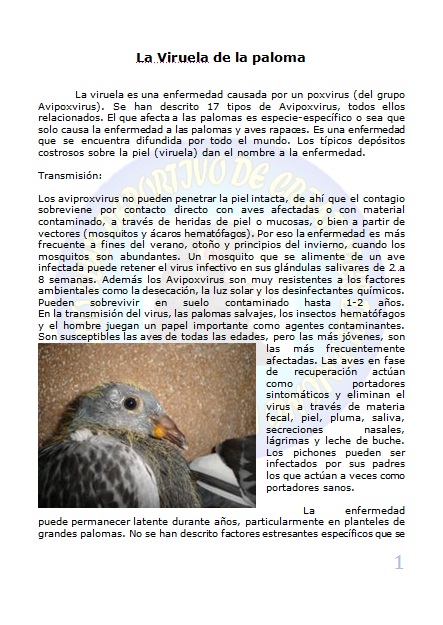 C.D.C.P.LADINO SEVILLANO: ENFERMEDADES: LA VIRUELA DE LA PALOMA