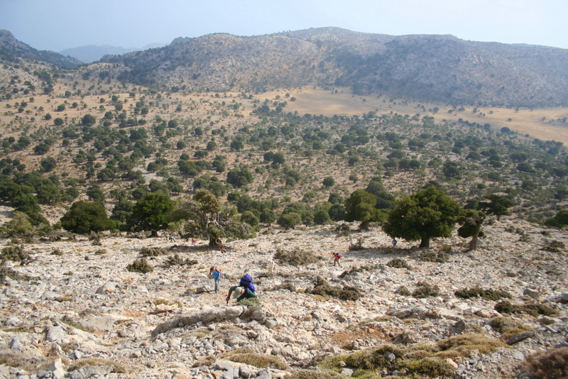 ΟΡΕΙΒΑΤΙΚΟΣ ΣΥΛΛΟΓΟΣ ΑΓΙΟΥ ΝΙΚΟΛΑΟΥ (1ος κύκλος): ΑΦΕΝΤΗΣ ΧΡΙΣΤΟΣ-ΨΑΡΗ ...