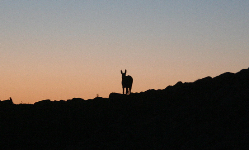 ΟΡΕΙΒΑΤΙΚΟΣ ΣΥΛΛΟΓΟΣ ΑΓΙΟΥ ΝΙΚΟΛΑΟΥ (1ος κύκλος): ΑΦΕΝΤΗΣ ΧΡΙΣΤΟΣ-ΨΑΡΗ ...