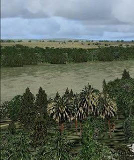 MaximosFs: Samoshin - Natural World Trees fs2004