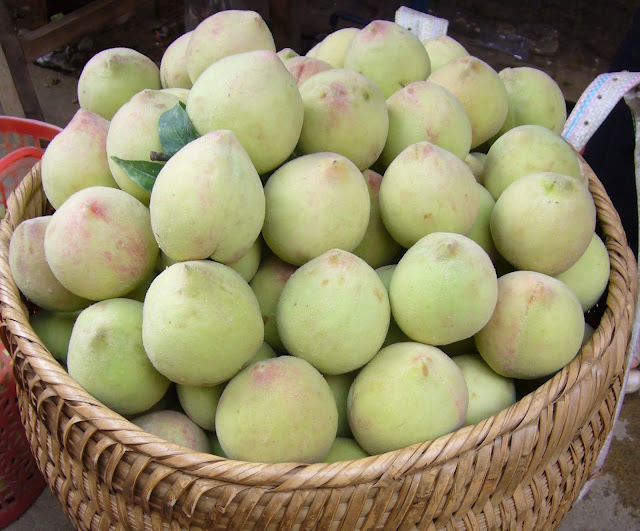 A Coffeeholic's Travel Tale: Sapa - Part 5