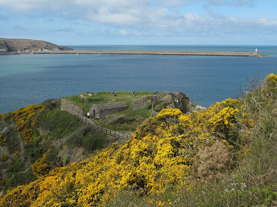 Sites and Stones: Fishguard Fort, Pembrokeshire