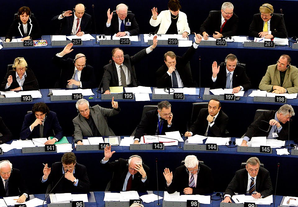 Siiri Mäkelä de Oliveira: To what Extent has the European Parliament ...