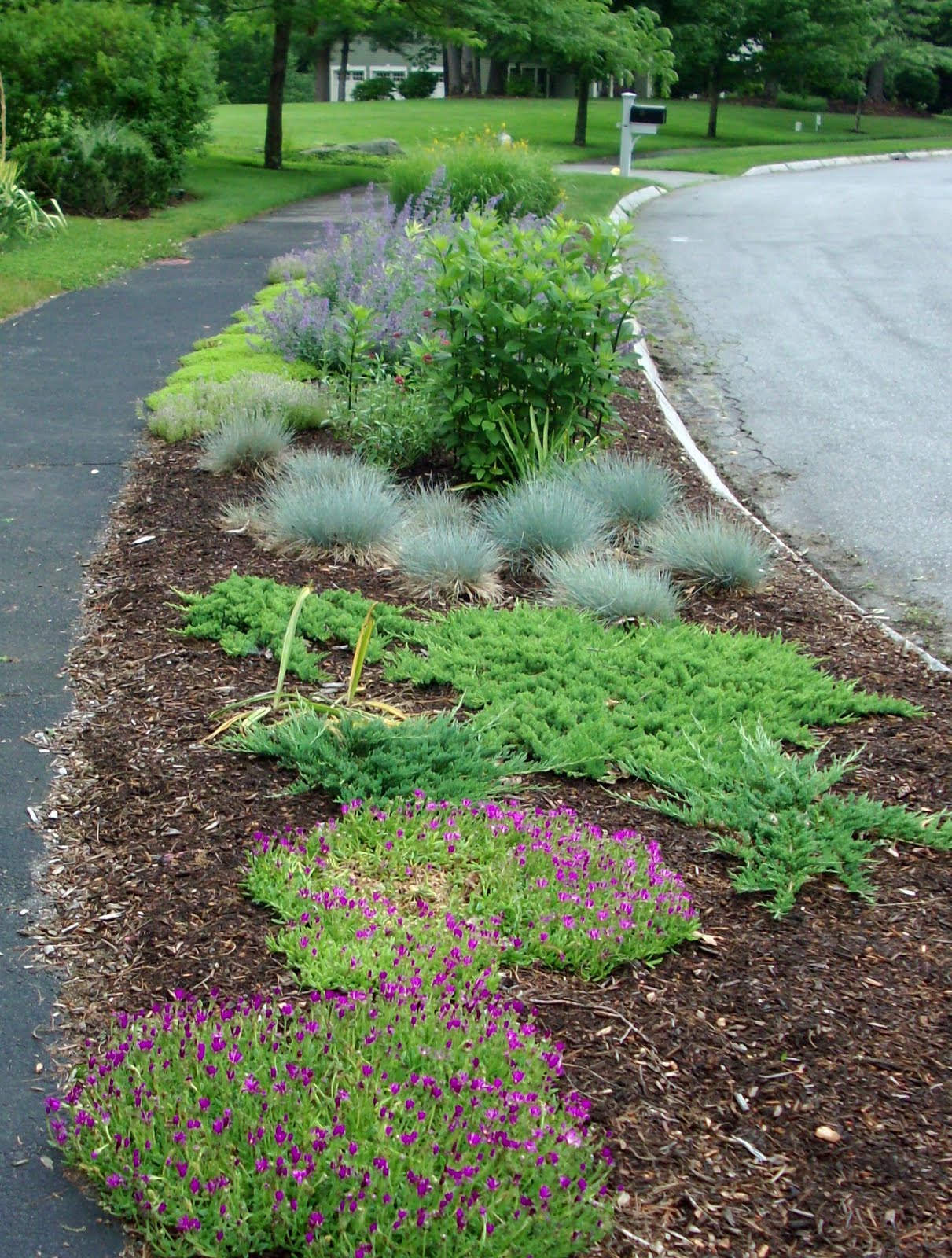 The Principal Undergardener: The Xeric Garden Hits its Stride