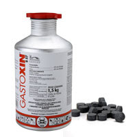 GASTOXIN ~ Estivadores de Aveiro