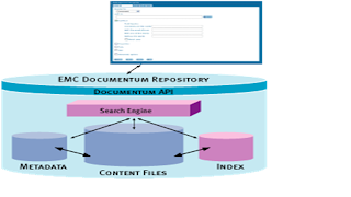 Documentum: Documentum Basics