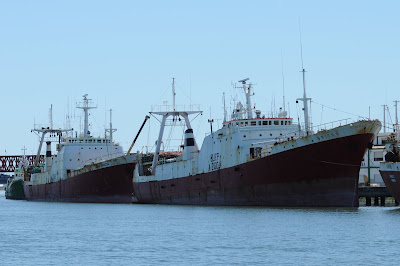 SHIPS & THE SEA - BLOGUE dos NAVIOS e do MAR: BACALHOEIROS na GAFANHA ...