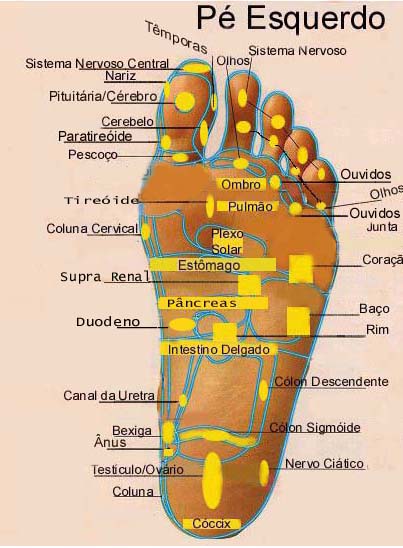 Re-tecendo a Vida: Reflexologia - Mapa dos Pés
