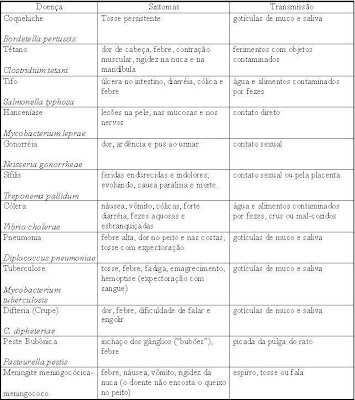 BIOLOGIA - PROFESSOR VASCO: BIODICA 2