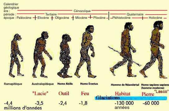 Cours d'Histoire 1ère. Athénée royal de Jette Mme D'Hoine: Les premiers ...