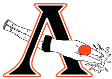 Allatoona High School Swim and Dive Team