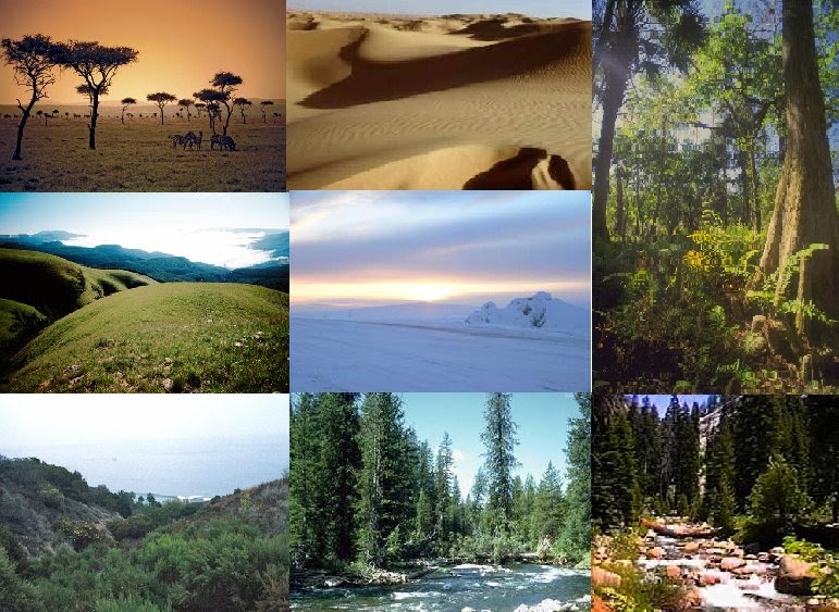 andreamabio: main land biomes