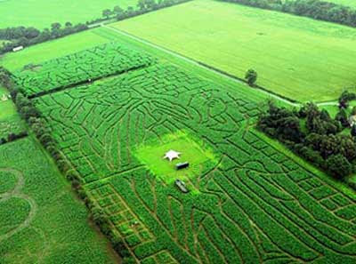 Nothing To Do With Arbroath: UK farmer creates maze in likeness of ...
