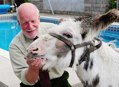 Nothing To Do With Arbroath: Runaway donkey ends up in swimming pool
