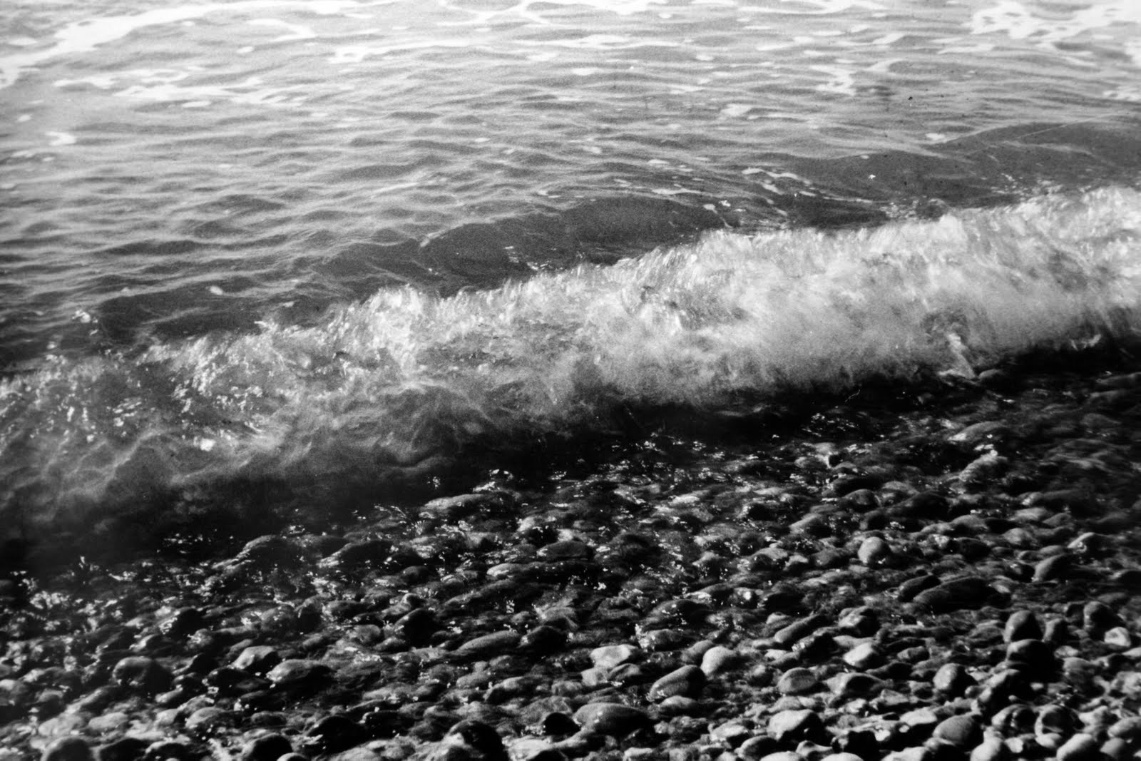 Photography.: Rhythm in Nature